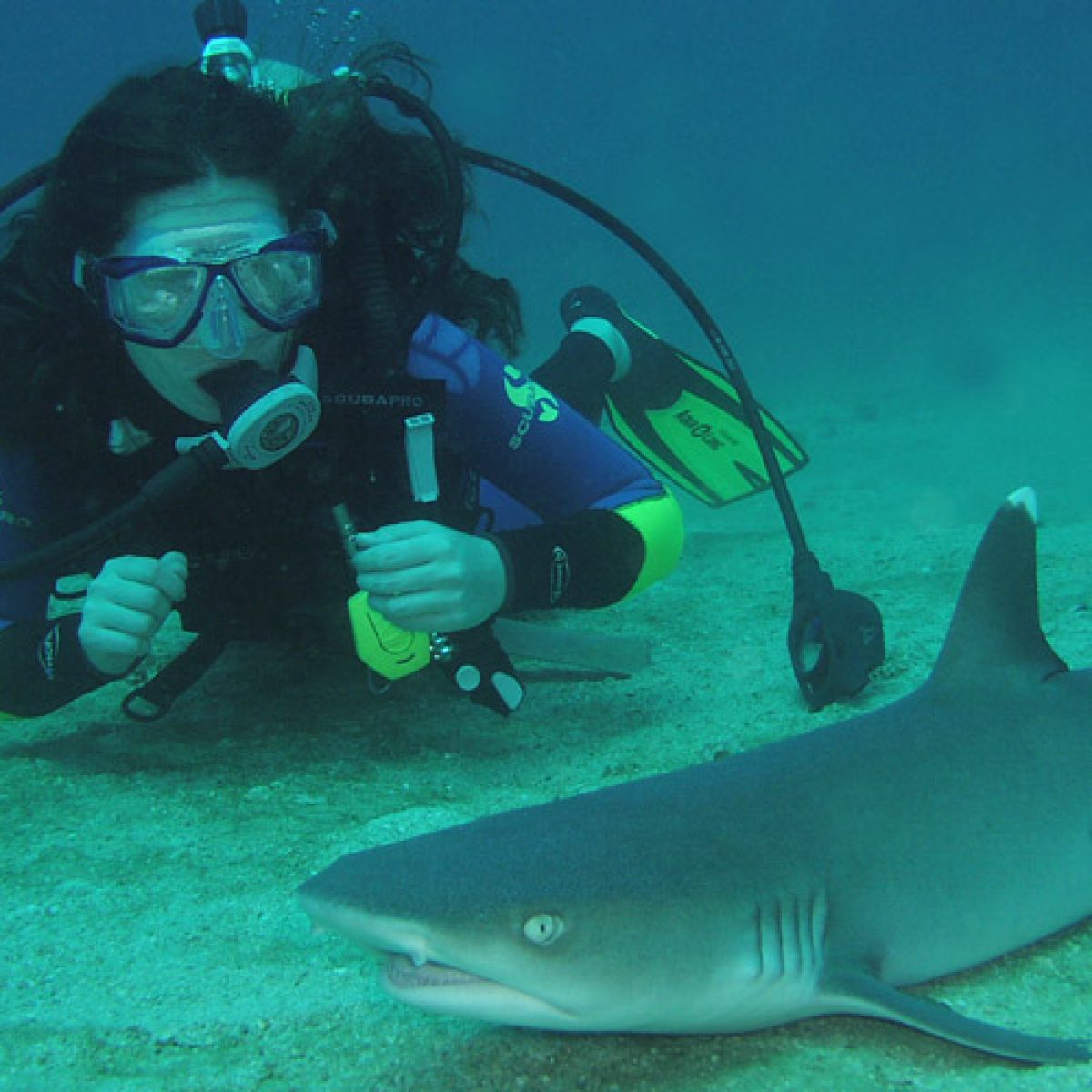 Buceo Mágico en el Pacífico | Costa Rica Te Enamora