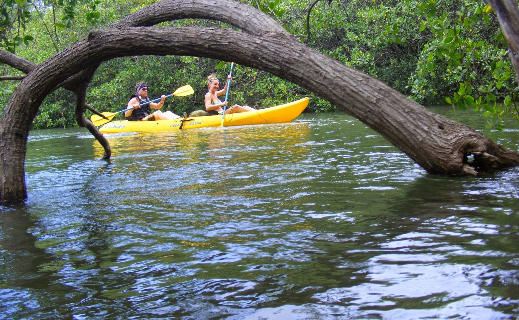 Tours de kayak | Costa Rica Te Enamora