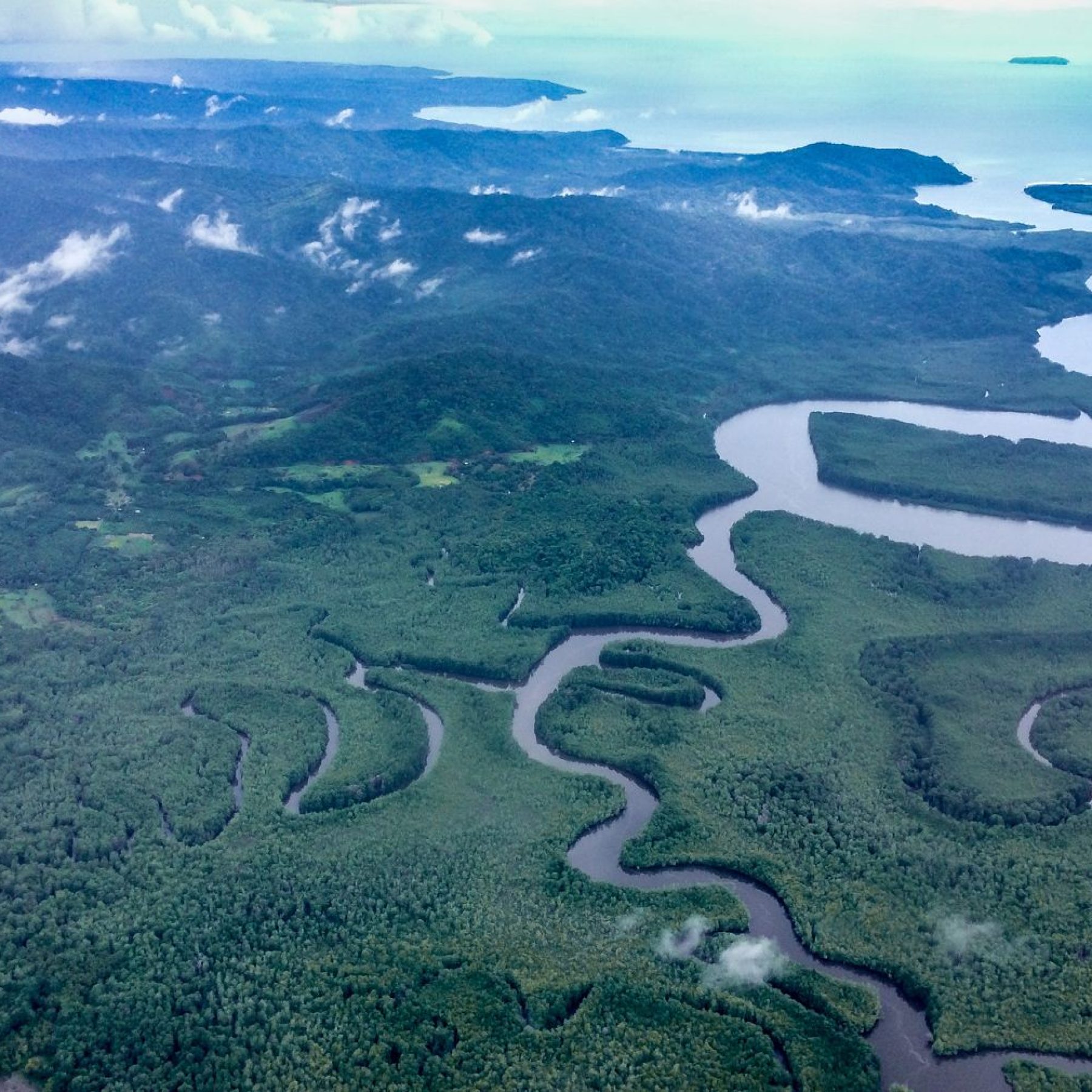 Conoce el Manglar Térraba-Sierpe | Costa Rica Te Enamora