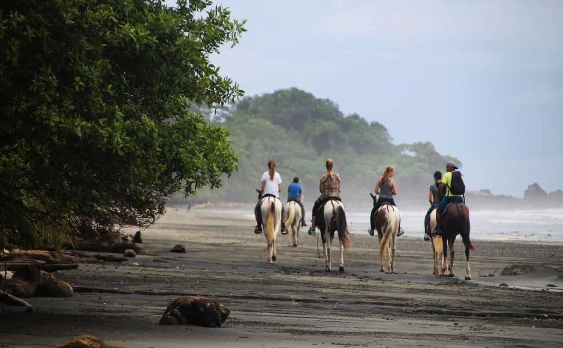 Disfrute de las cabalgatas | Costa Rica Te Enamora