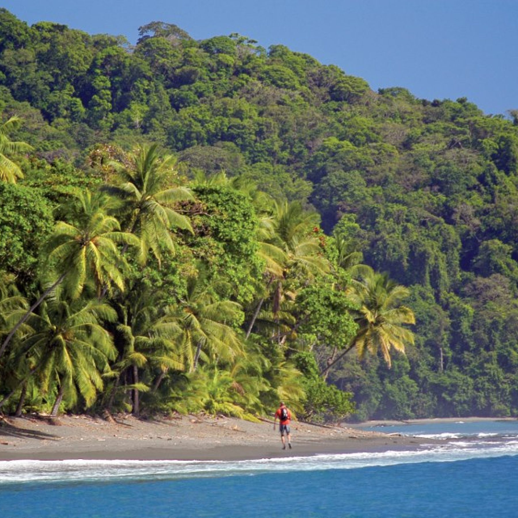 3 Noches en Bahía Drake visitando Corcovado e Isla Del Caño | Costa ...
