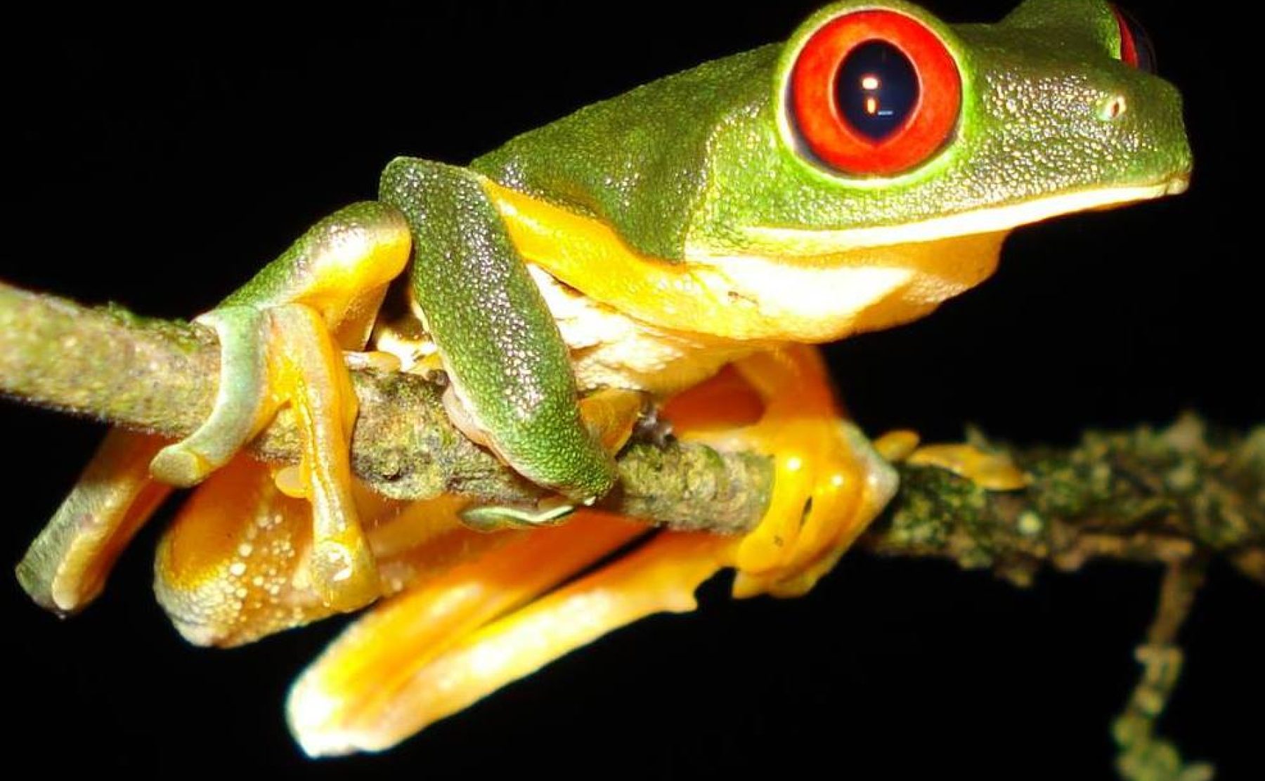 Tour Indígena del Térraba