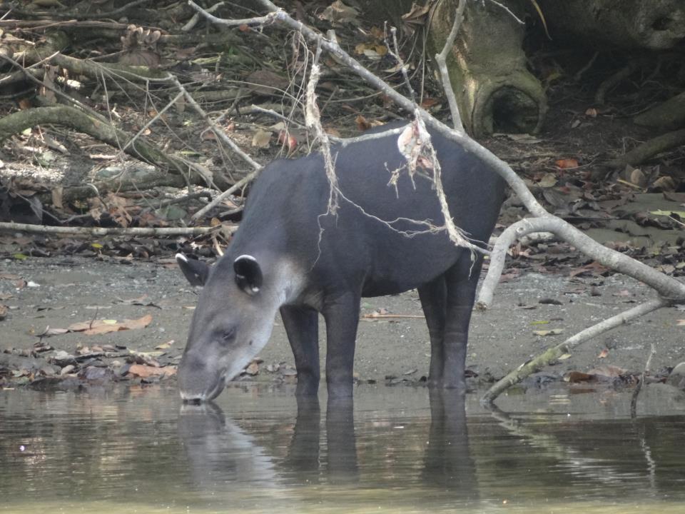 Agencia de viajes de Costa Rica
