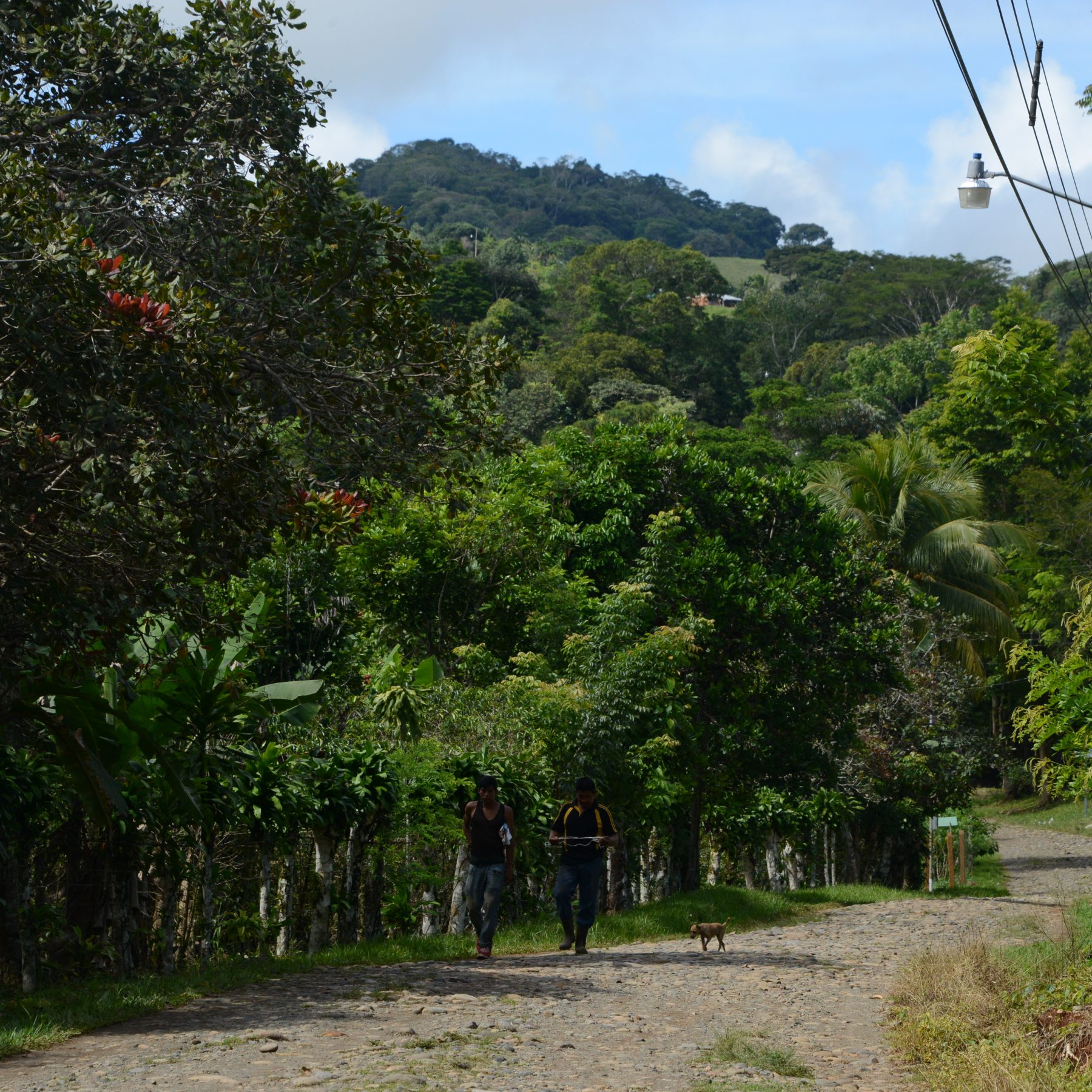 Tour Indígena del Térraba | Costa Rica Te Enamora