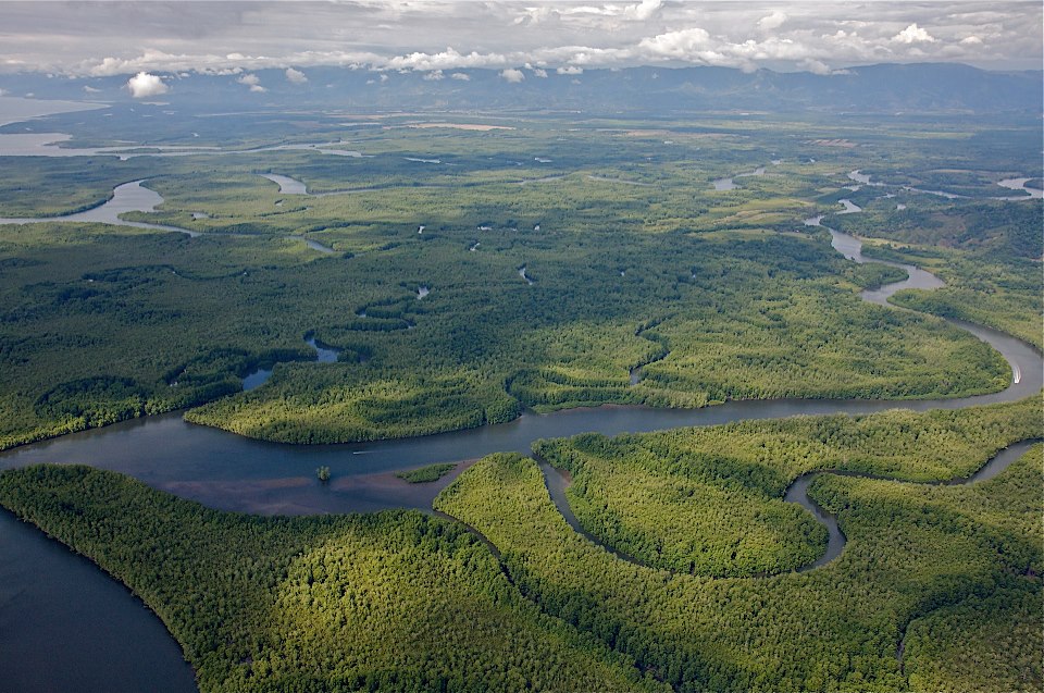 Conoce el Manglar Térraba-Sierpe | Costa Rica Te Enamora