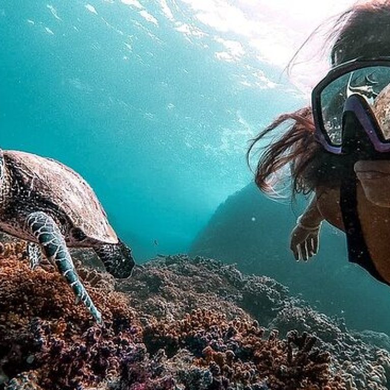 Isla del Caño desde Bahía Drake | Costa Rica Te Enamora