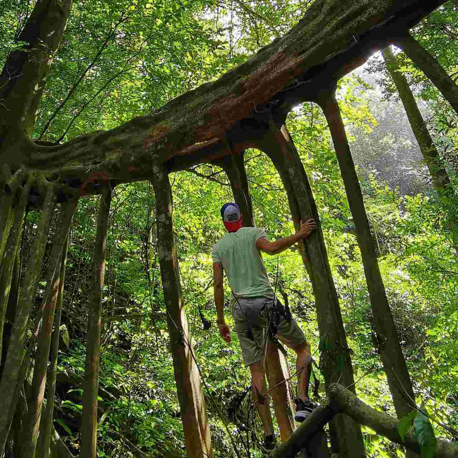 Tour a Corcovado Sirena desde Sierpe | Costa Rica Te Enamora