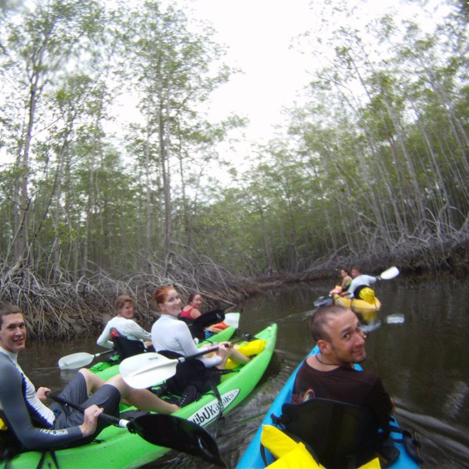 Excursion en kayak dans la mangrove de Terraba | Costa Rica Te Enamora